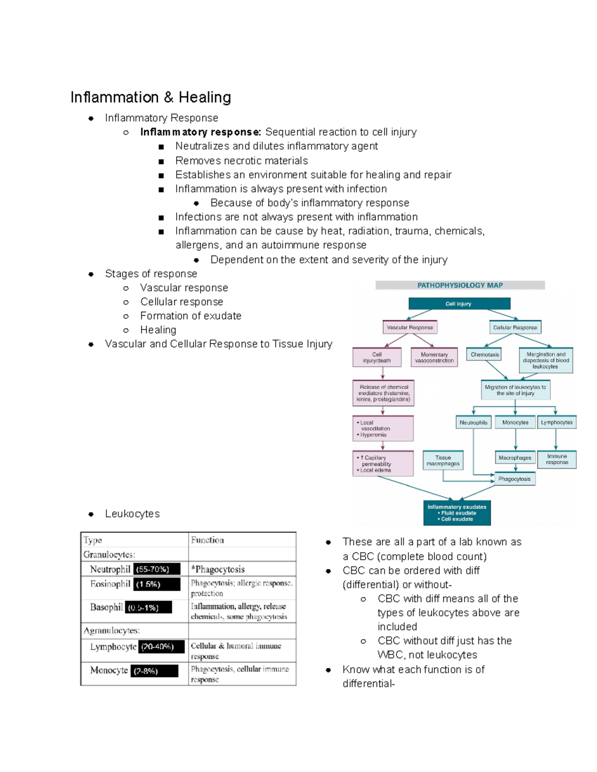 NUR 206 Inflammation and Healing - Inflammation & Healing Inflammatory ...