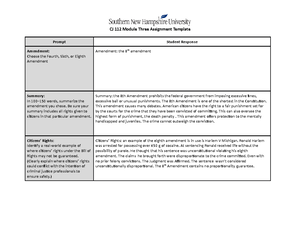 CJ 112 Project One Template (1) - How the Criminal Justice System Works ...