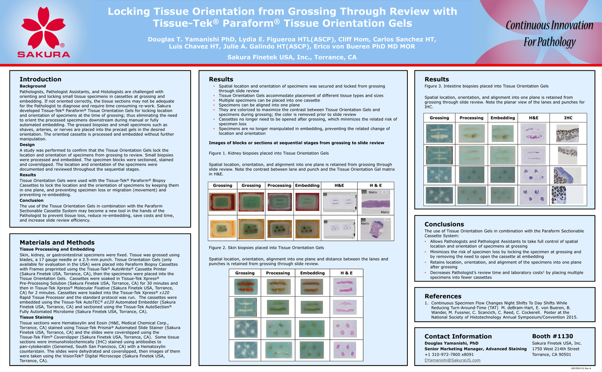 Poster Uscap 2016 Locking Tissue Orientation from Grossing Through ...