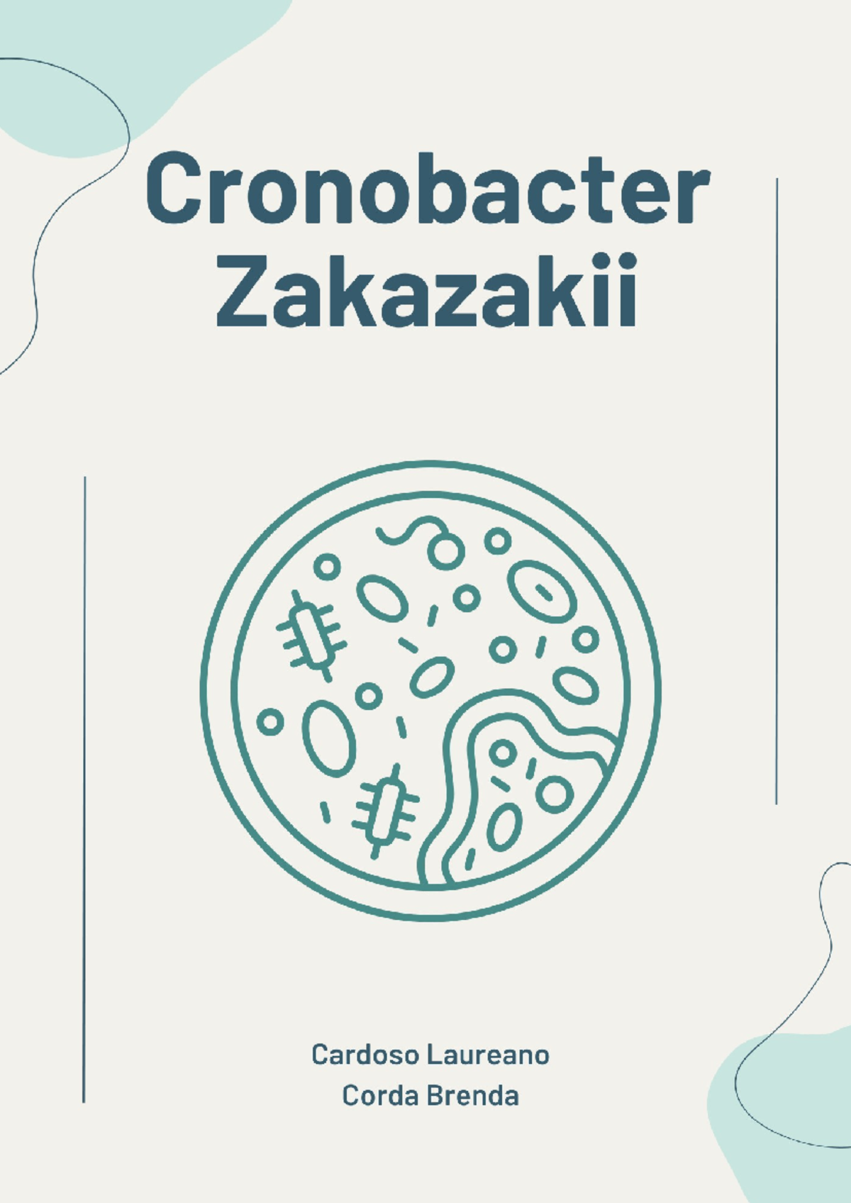 Cronobacter Sakazakii - Características Es una bacteria oportunista(son ...