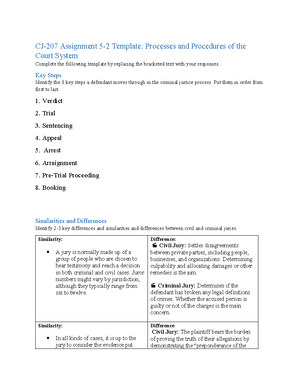 CJ 205 Module Five Practice Activity Template - CJ 205 Module Five ...