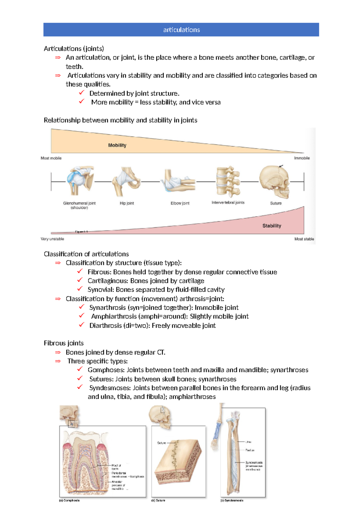 summarised notes for articulation - Articulations (joints) An ...