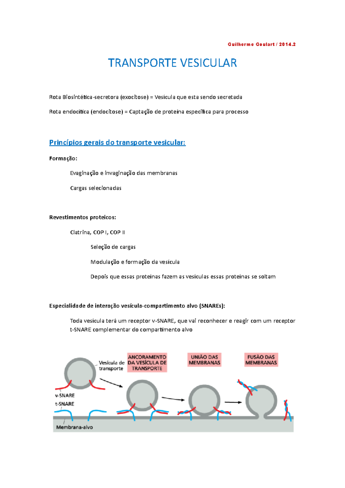 9 - Transporte Vesicular - Guilherme Goulart 2014 TRANSPORTE VESICULAR ...