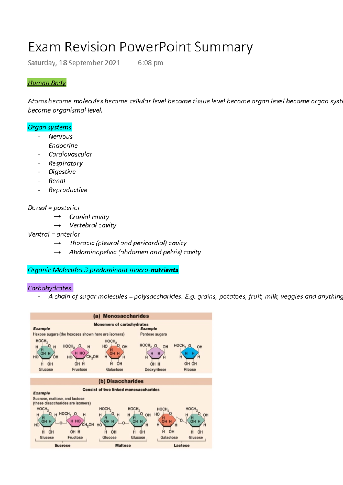 Exam Revision Power Point Summary for Revision - Human Body Atoms ...