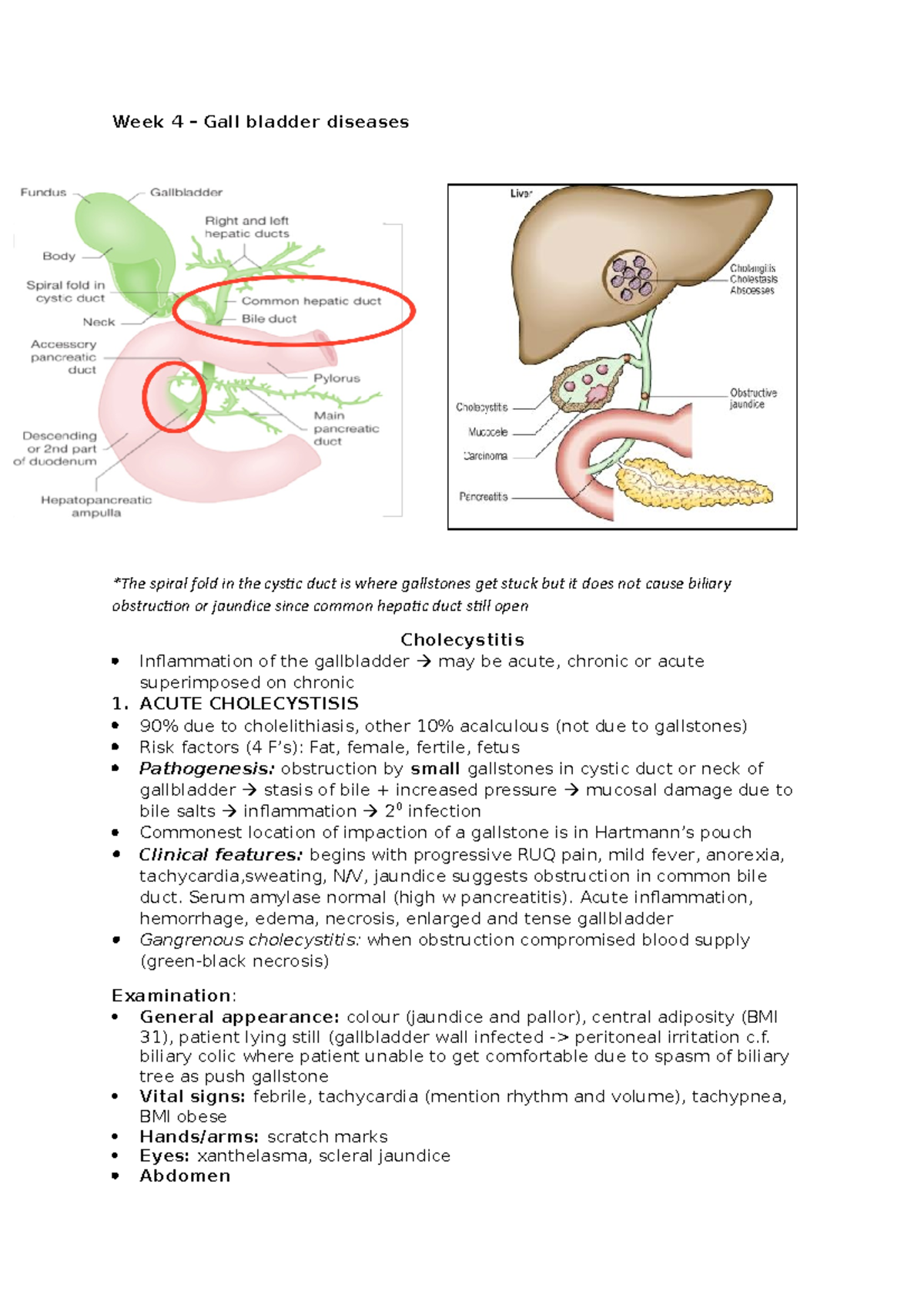 Summary - lecture 4 - Week 4 Gall bladder diseases spiral fold in the ...