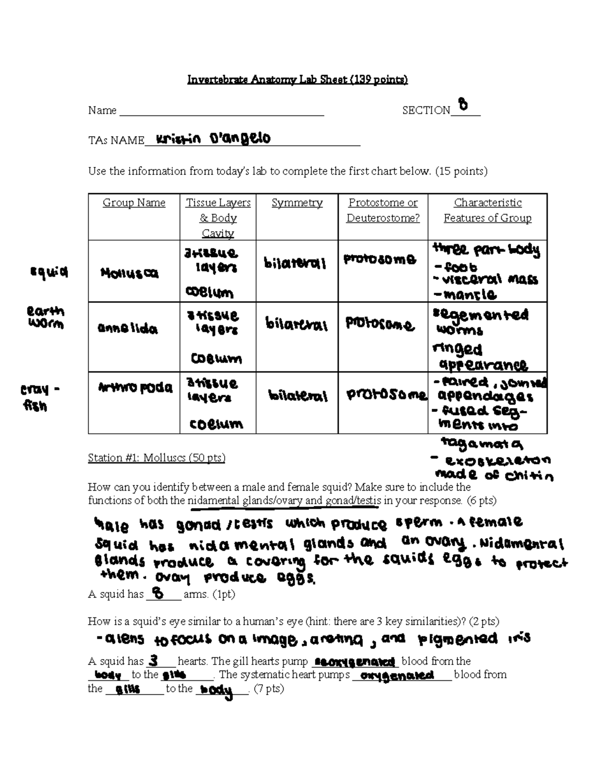 InvertebrateAnatomyLabWS - Invertebrate Anatomy Lab Sheet ( 139 points ...
