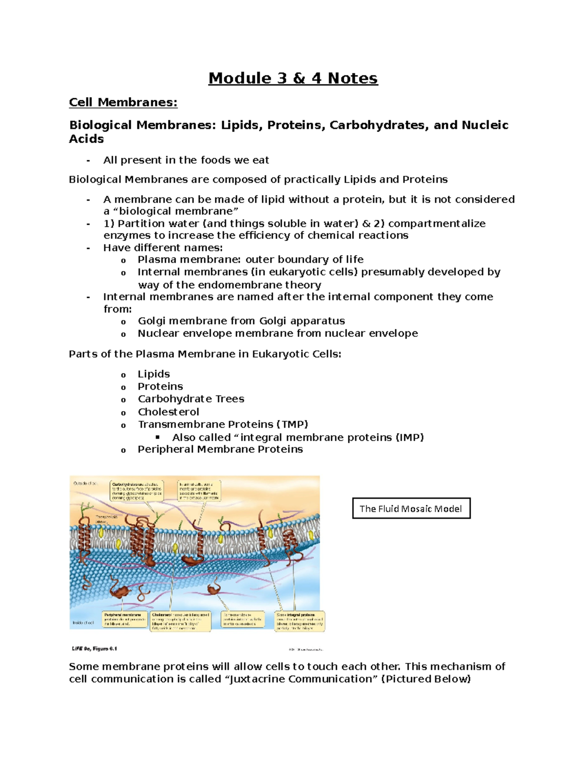 Bio 181 Module 3&4 - Notes - Module 3 & 4 Notes Cell Membranes ...