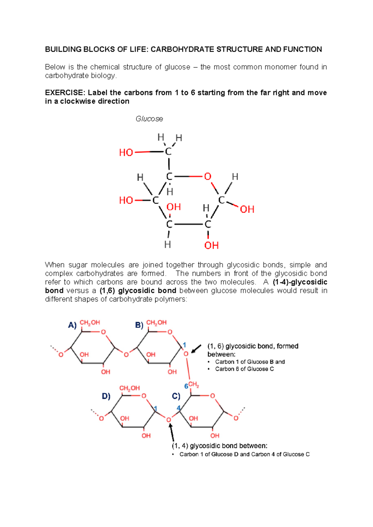 BIOL1020 Totorials - BUILDING BLOCKS OF LIFE: CARBOHYDRATE STRUCTURE ...