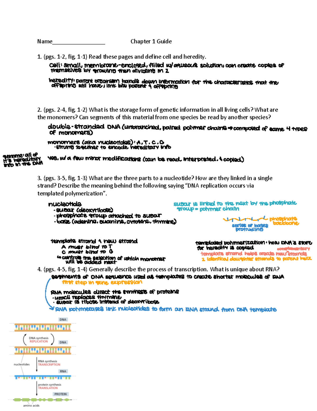BIO333 Chapter 1 Guide - Name_________________ Chapter 1 Guide (pgs. 1 ...