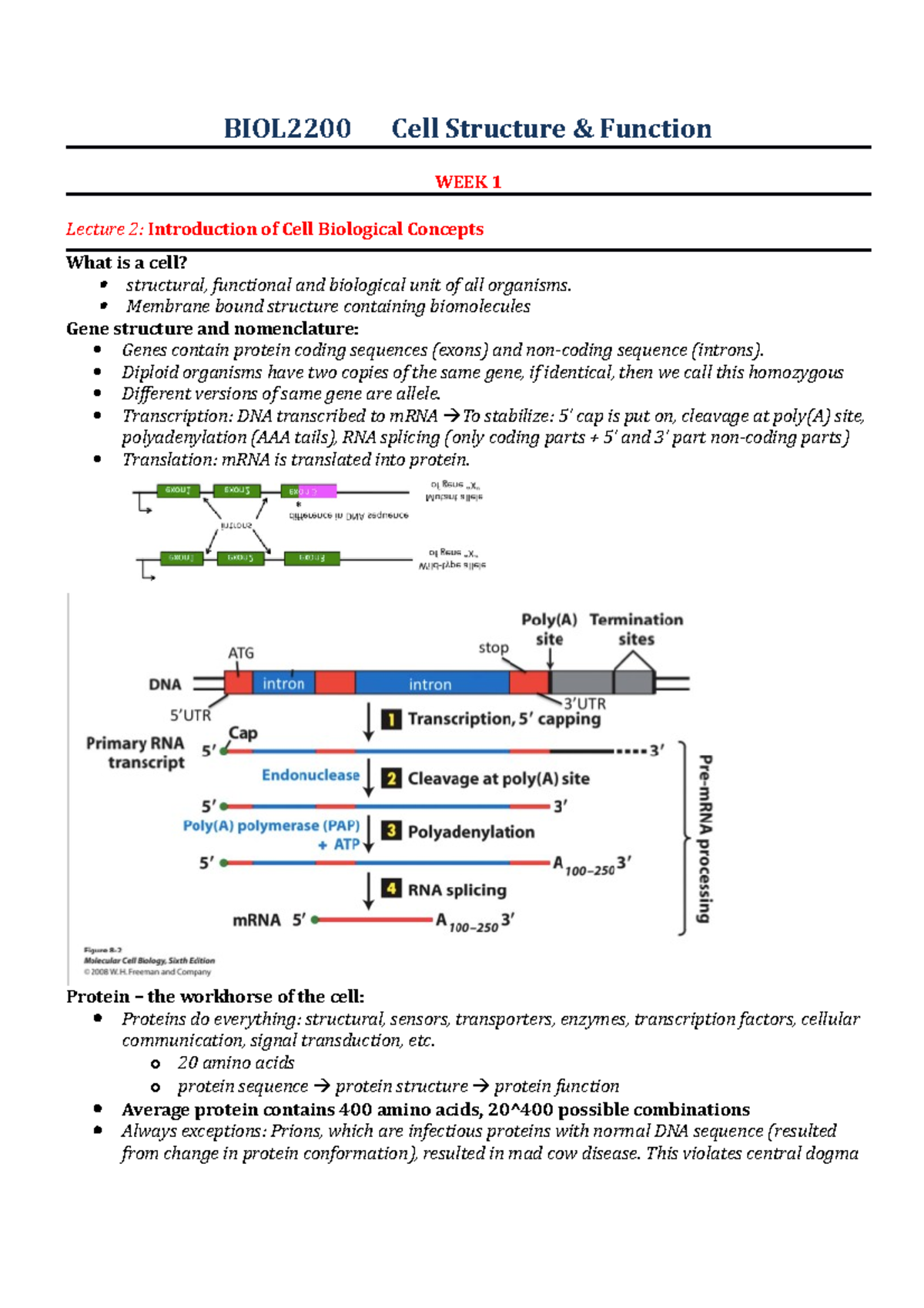 BIOL2200 Notes - Summary Cell Structure & Function - BIOL2200 Cell ...