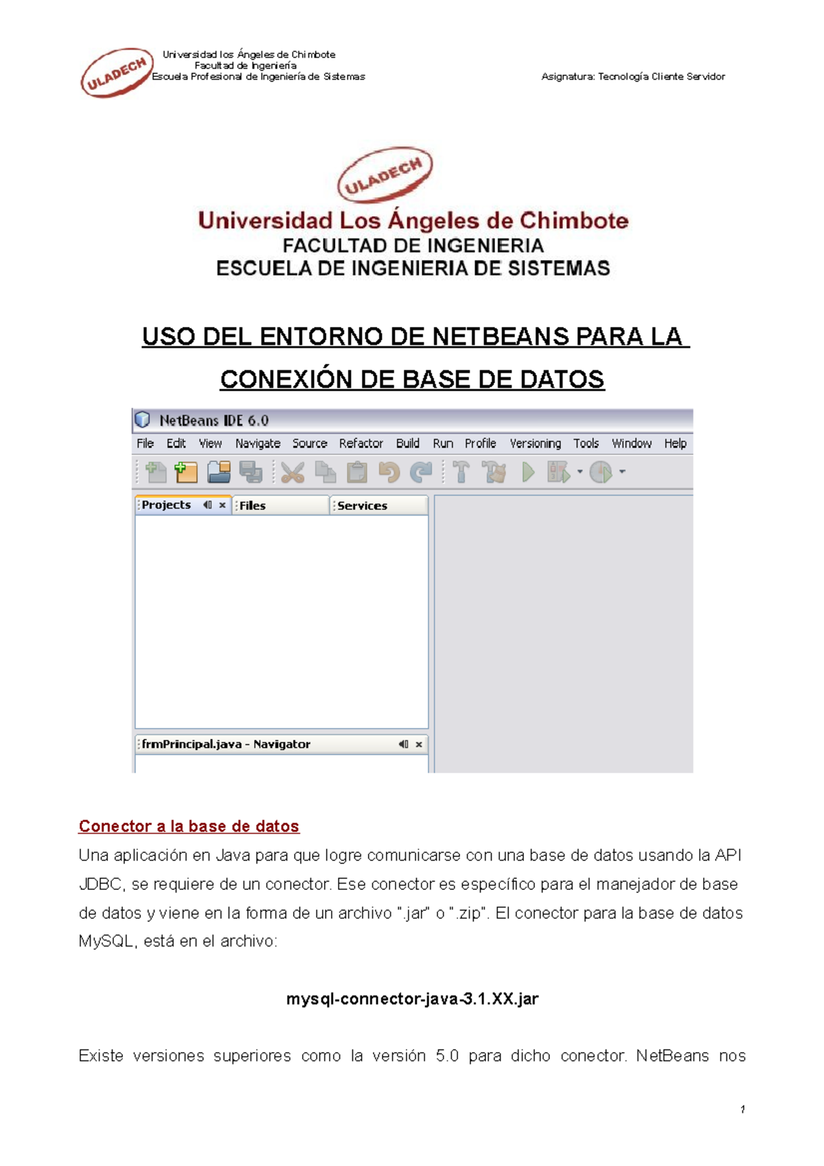 USO DEL Entorno DE Netbeans PARA LA Conexión DE BASE DE Datos - Escuela Profesional de ...
