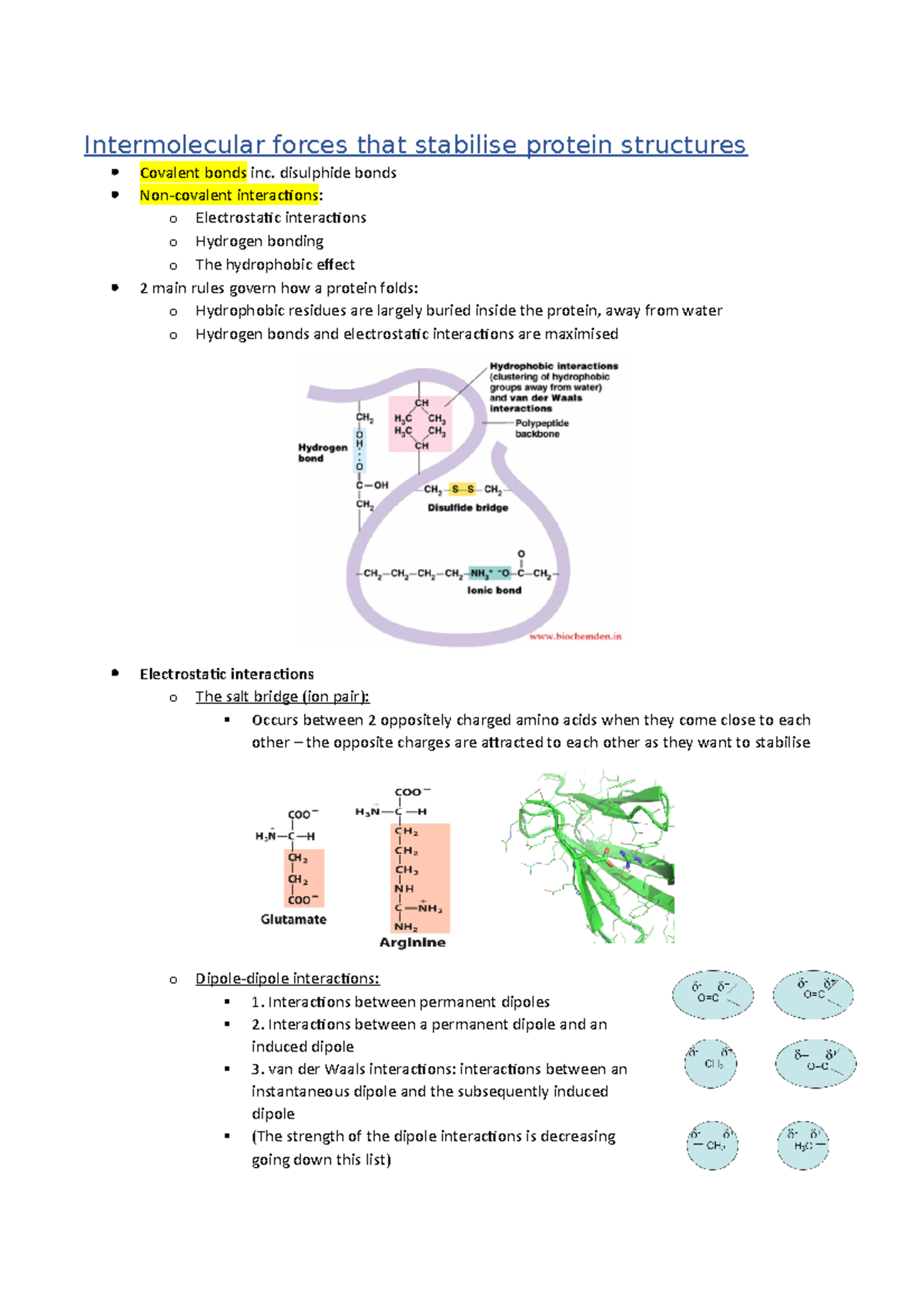 Protein secondary structure - Intermolecular forces that stabilise ...