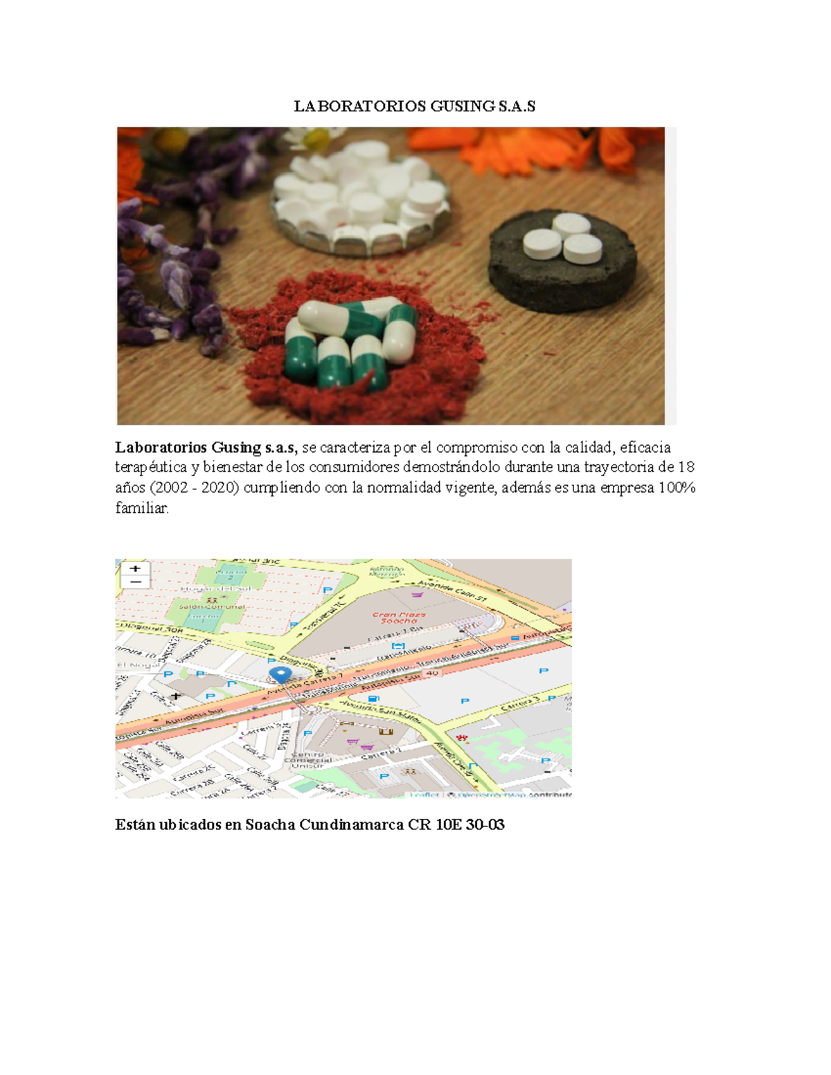 Laboratorios Gusing - caracterizacion - LABORATORIOS GUSING S.A ...