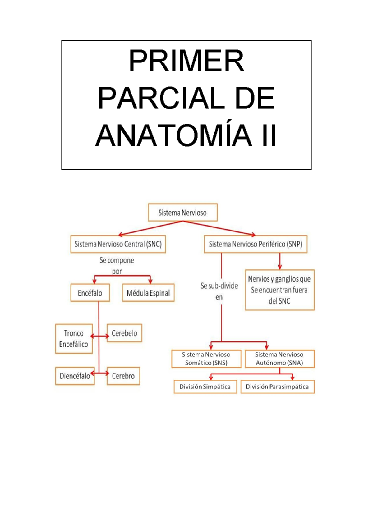Anatomía II (resúmen primer parcial) - PRIMER PARCIAL DE ANATOMÍA II Definición: Es el sistema ...