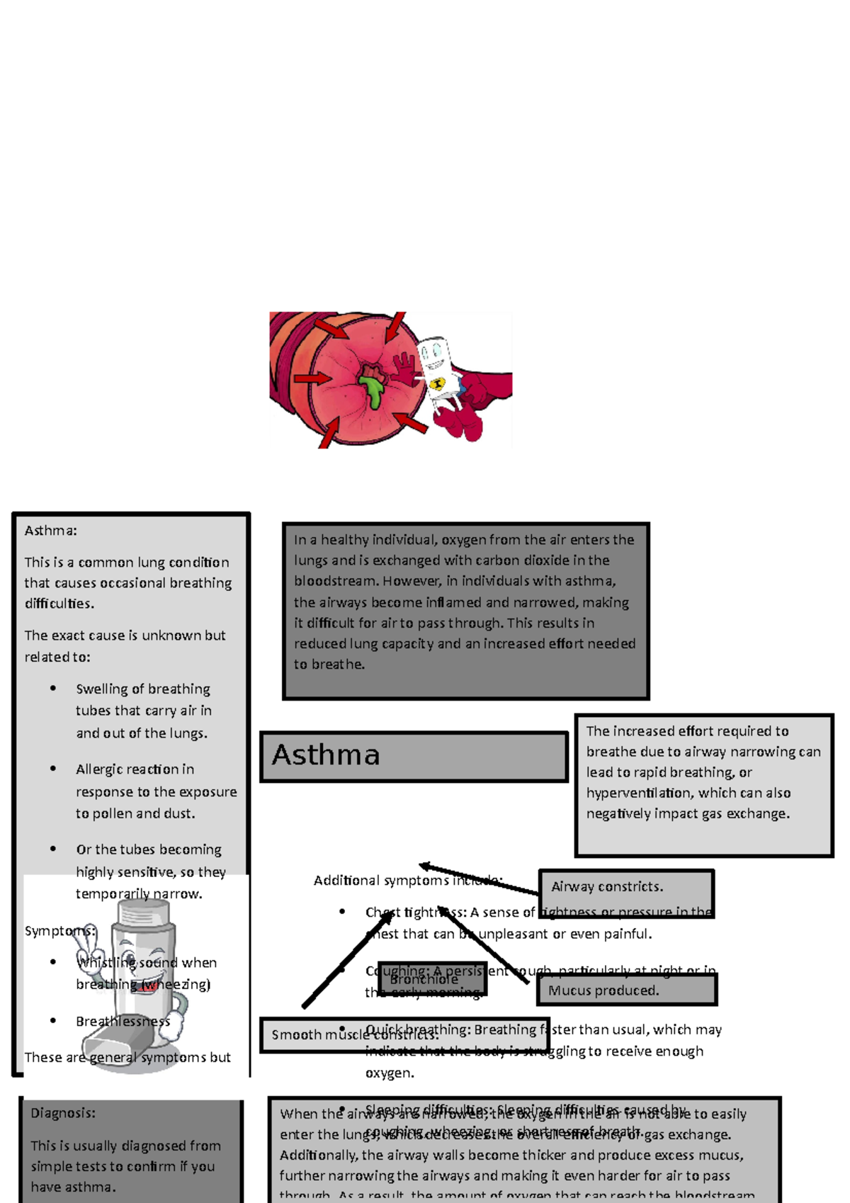 Asthma course work alevel bio - Additional symptoms include: Chest ...