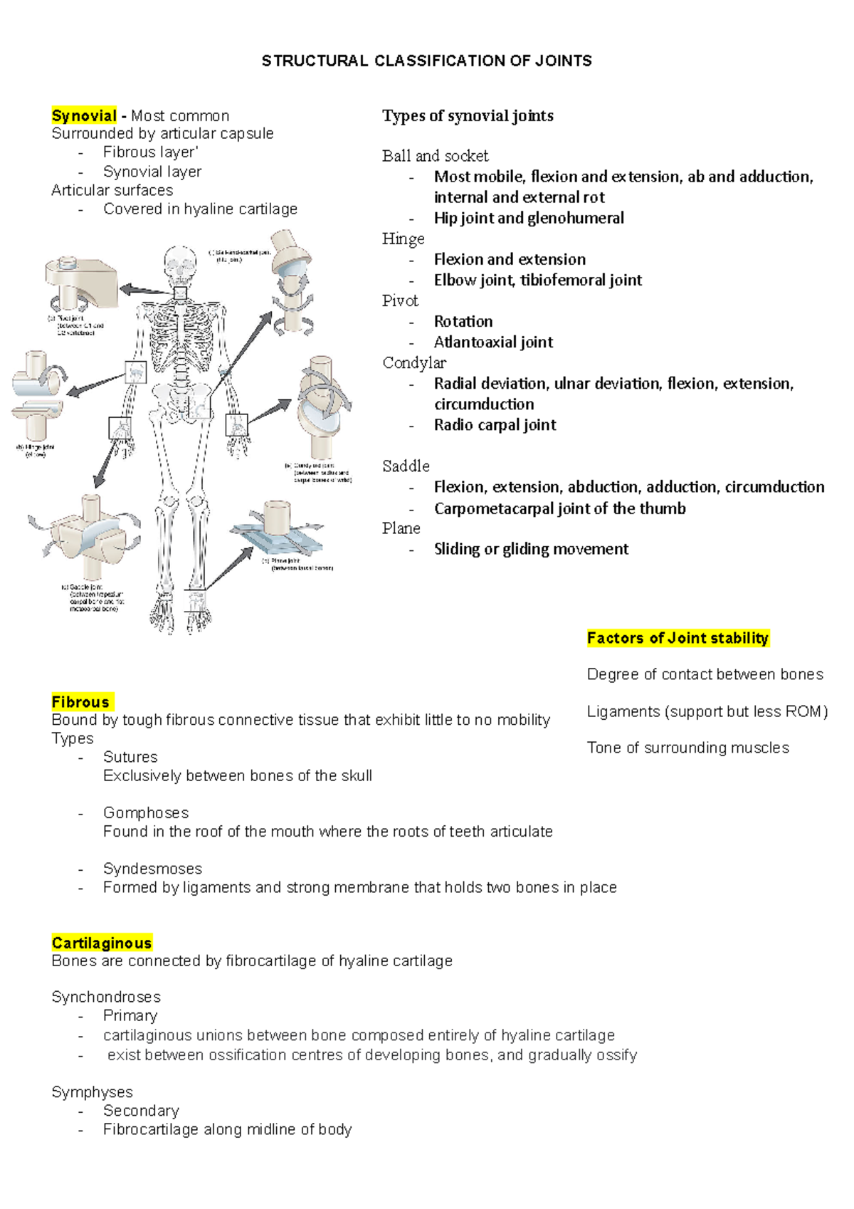 Notes on Joints - JOINT summary - Humb1006 - Curtin - Studocu