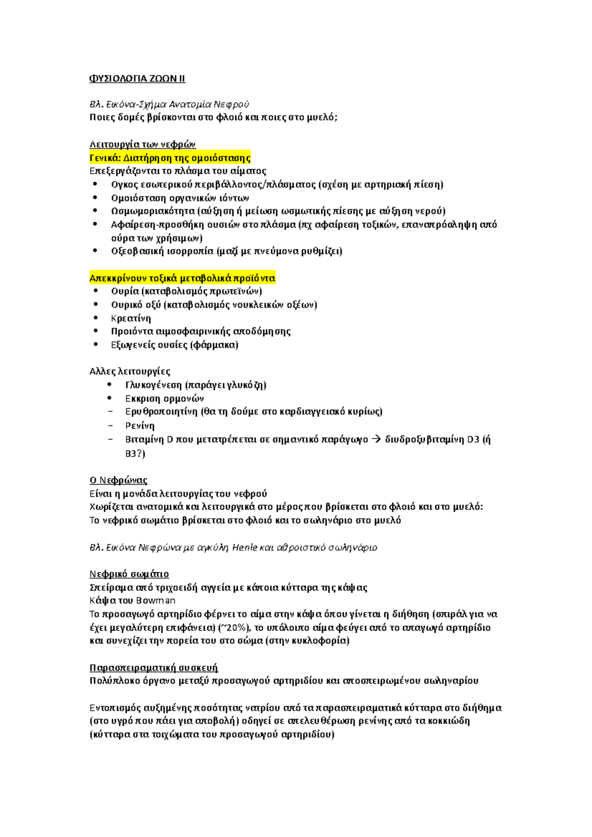 ΦΥΣΙΟΛΟΓΙΑ ΖΩΩΝ - ΦΥΣΙΟΛΟΓΙΑ ΖΩΩΝ ΙΙ Βλ. Εικόνα-Σχήμα Ανατομία Νεφρού ...