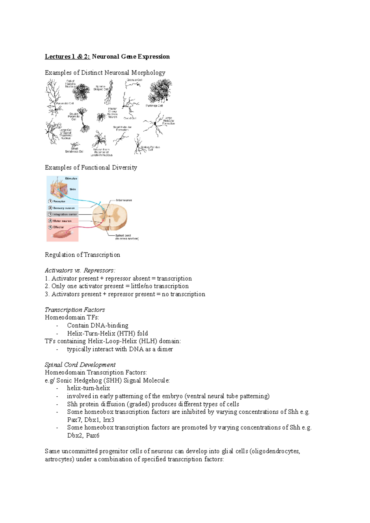 5BYN2001 Lecture Notes - Lectures 1 & 2: Neuronal Gene Expression ...