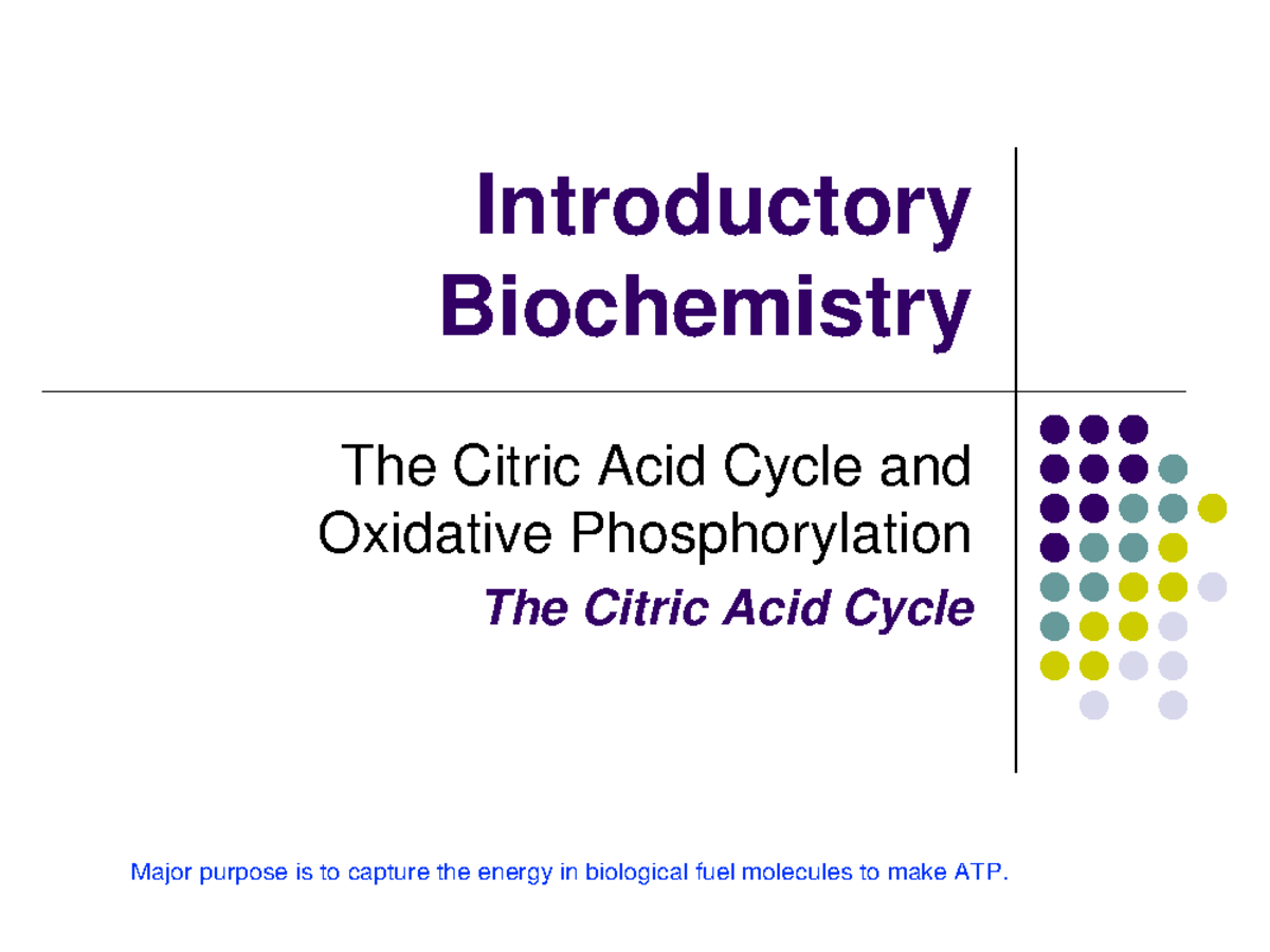 10. The CAC Biochem - Introductory Biochemistry The Citric Acid Cycle ...