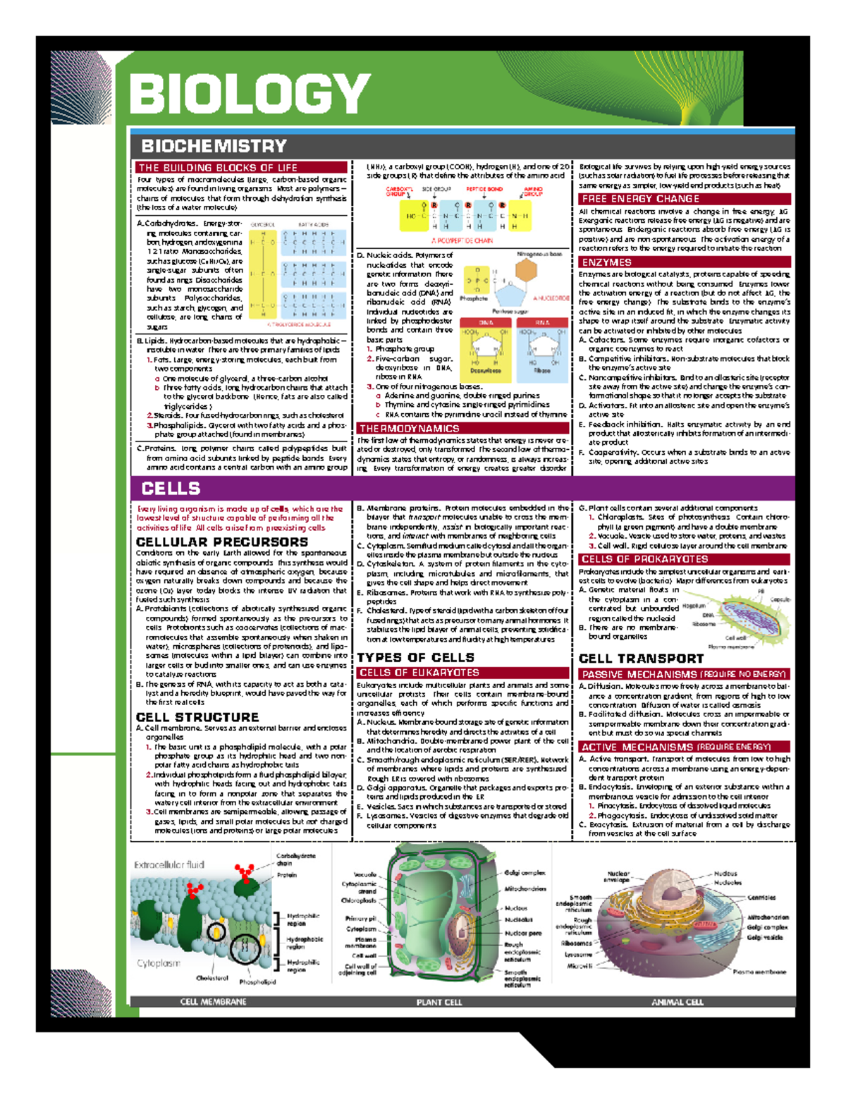 B - BOOKS THAT INCLUDE KNOWLEGE ABOUT BASIC BIOLOGY - - Studocu