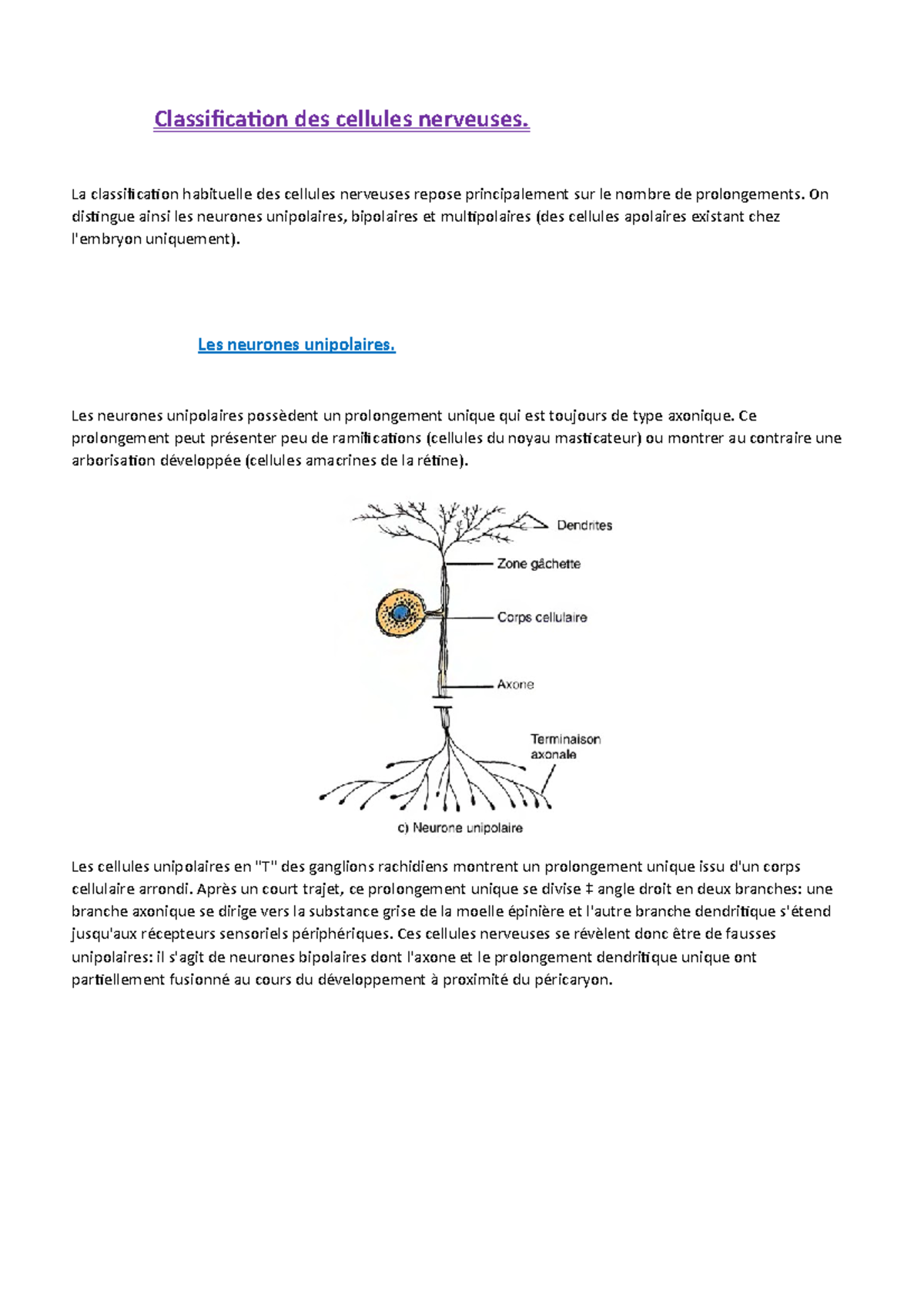 Classification des cellules nerveuses - La classification habituelle ...