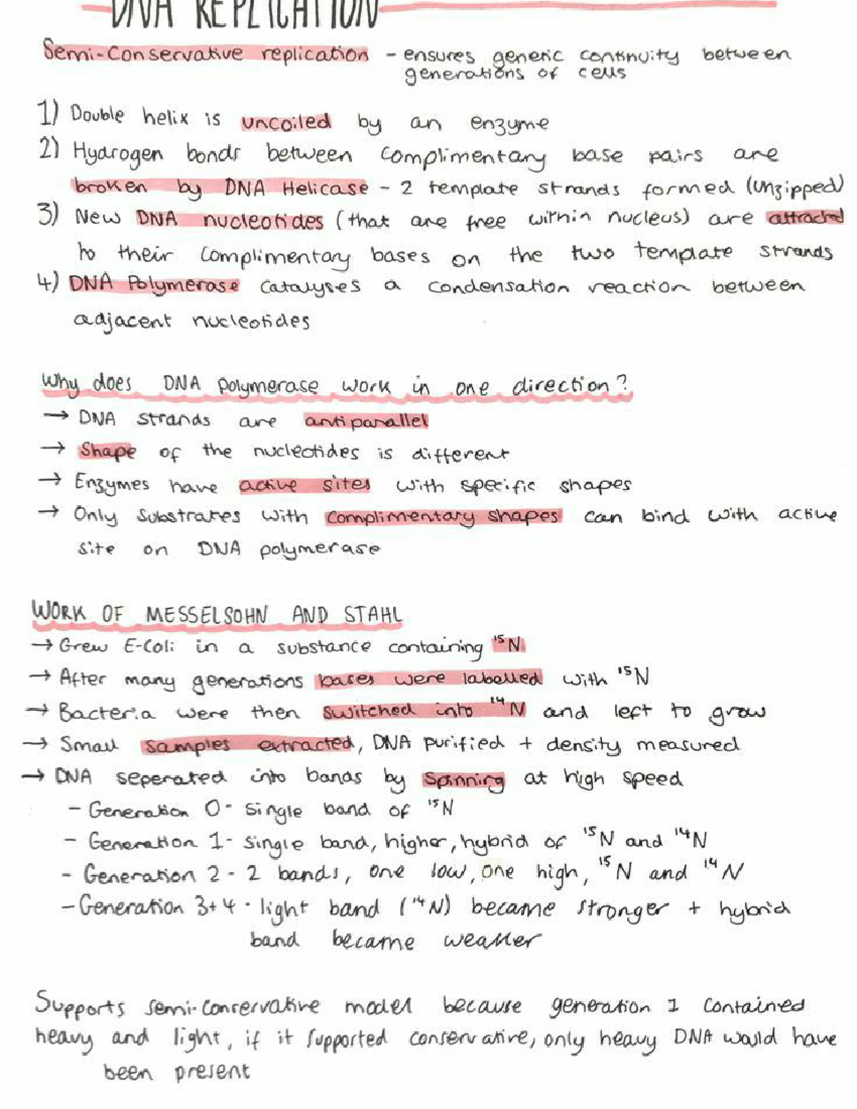 DNA replication - Its lecture notes - Biochemistry, Genetics ...
