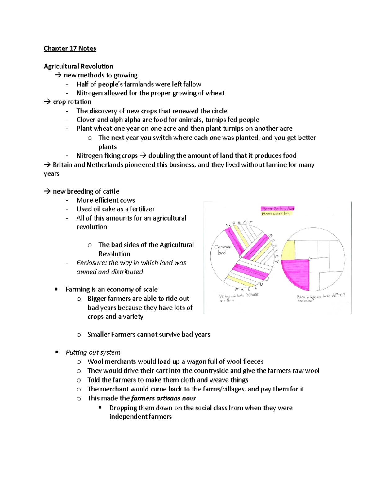 Chapter 17 Notes - Chapter 17 Notes Agricultural Revolution new methods ...