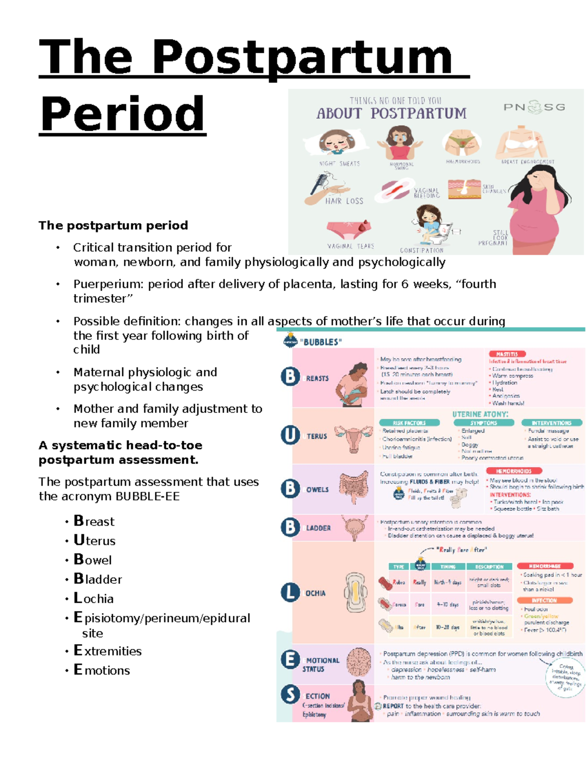 4. The Postpartum Period - The Postpartum Period The postpartum period ...