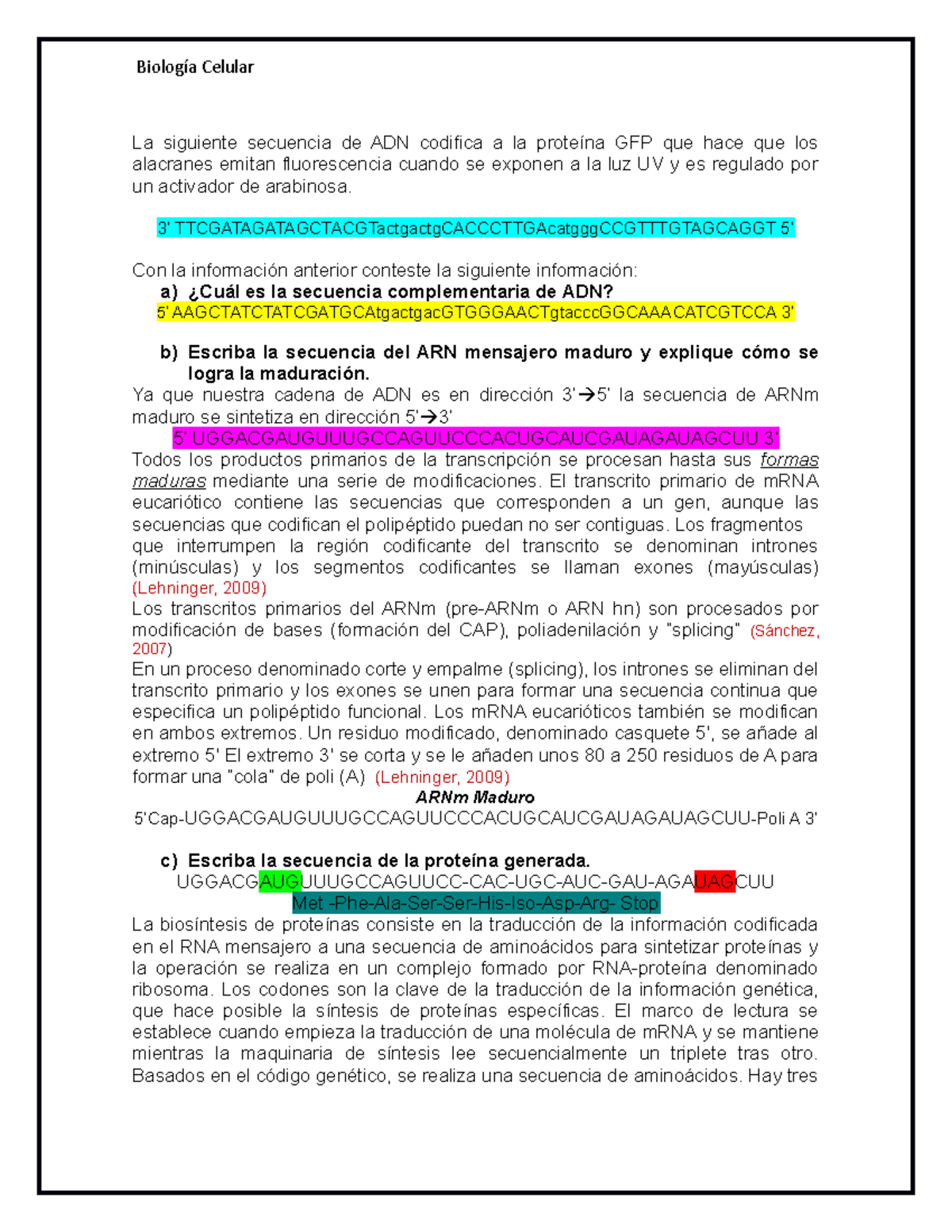 Actividad ADN - Biología Celular La siguiente secuencia de ADN codifica ...