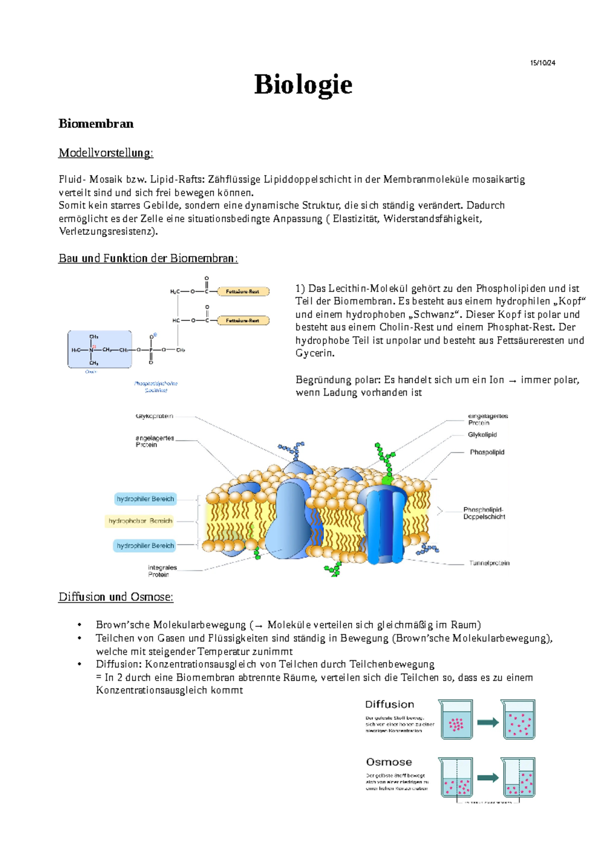 Biomembran und Diffusion Osmose - 15/10/ Biologie Biomembran ...