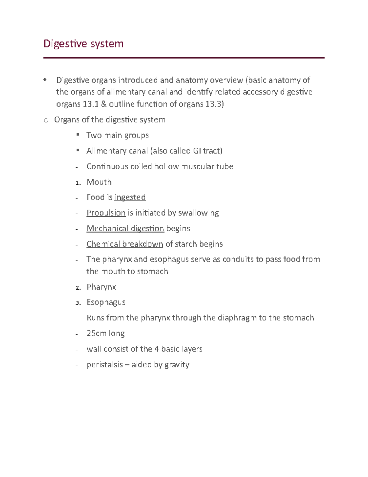 Digestive system - Studocu