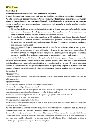 Las fases de la Mitosis - Contracción Muscular El papel fundamental de ...