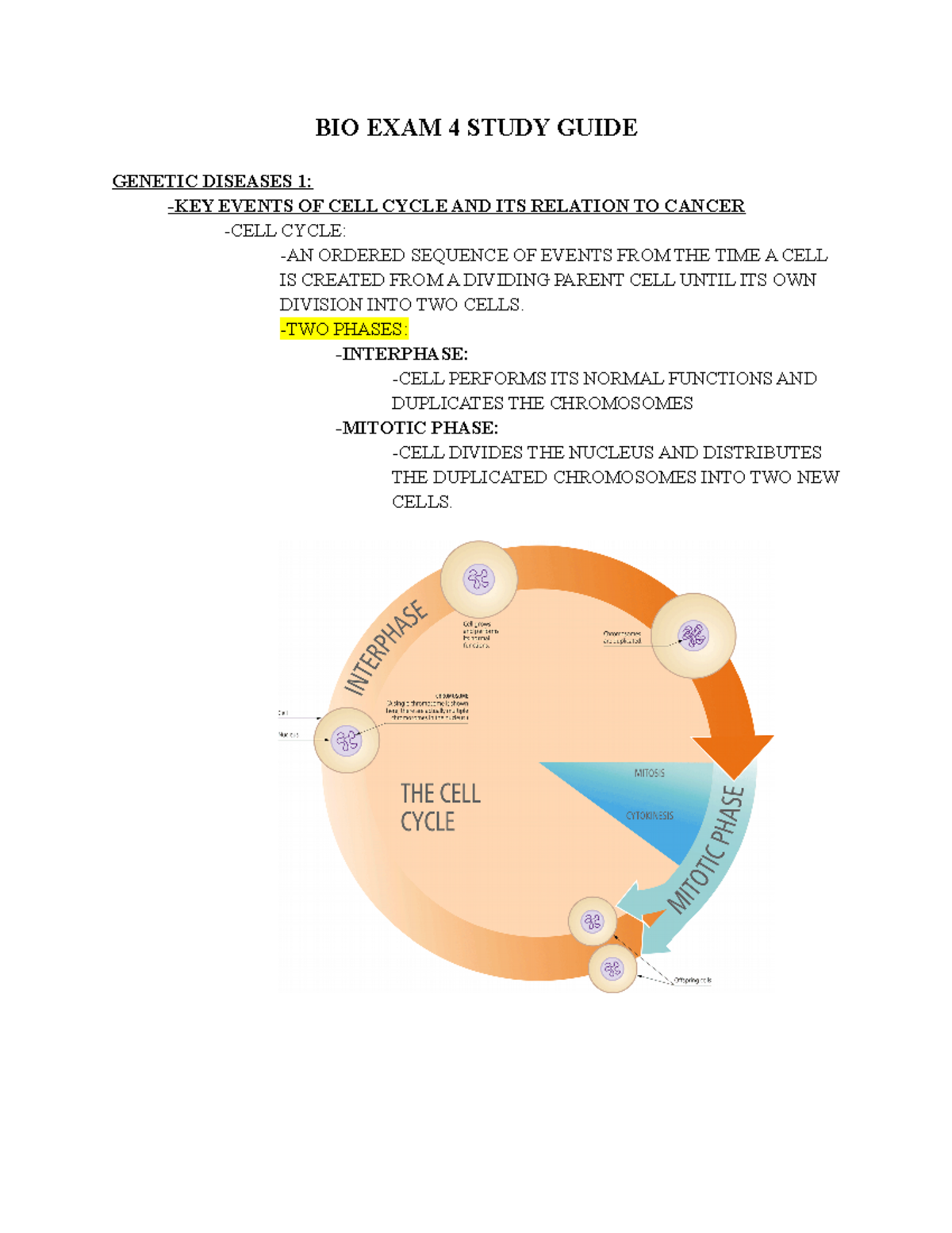 Copy of BIO EXAM 4 Study Guide - BIO EXAM 4 STUDY GUIDE GENETIC ...