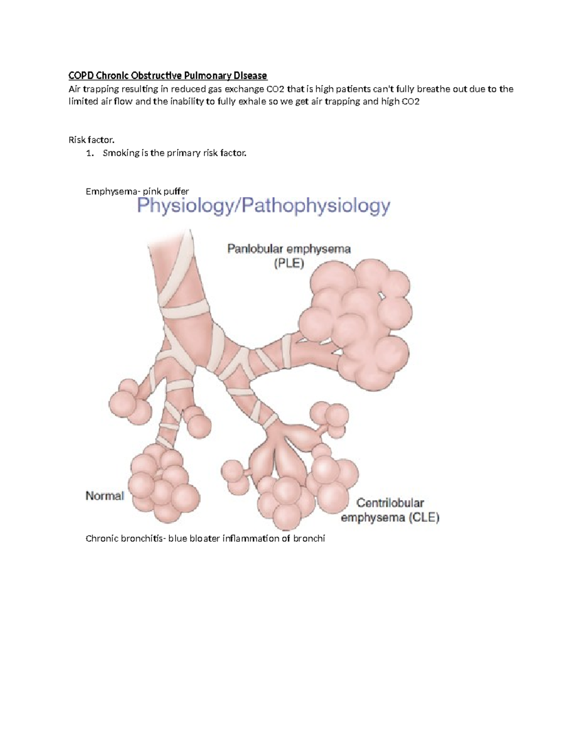 COPD - Summary Foundations In Nursing - COPD Chronic Obstructive ...