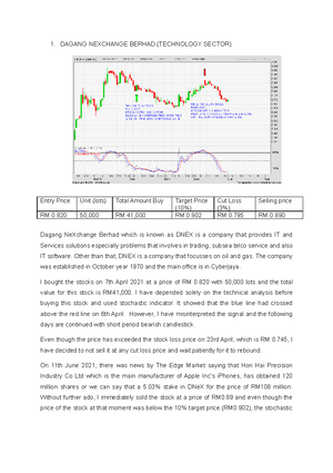 BP Plastic Holding fin348 - TECHNICAL ANALYSIS (FIN348) COMPANY ANALYSIS GROUP JBA1144B PREPARED ...