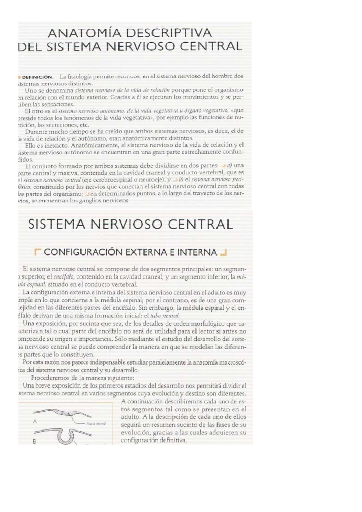 Apunte SNC - sistema nervioso central. SNC - Anatomía - Studocu