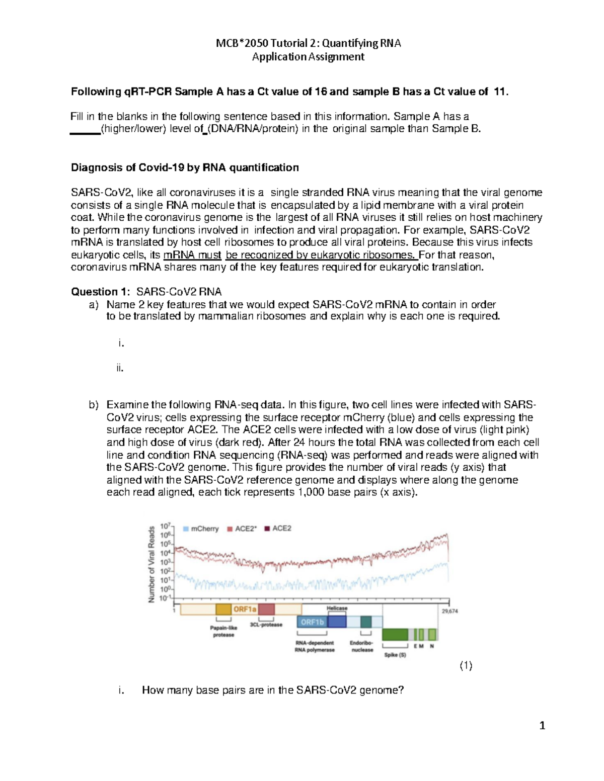 W23 RNA processing Seminar 2 - Application Assignment Following qRT-PCR ...