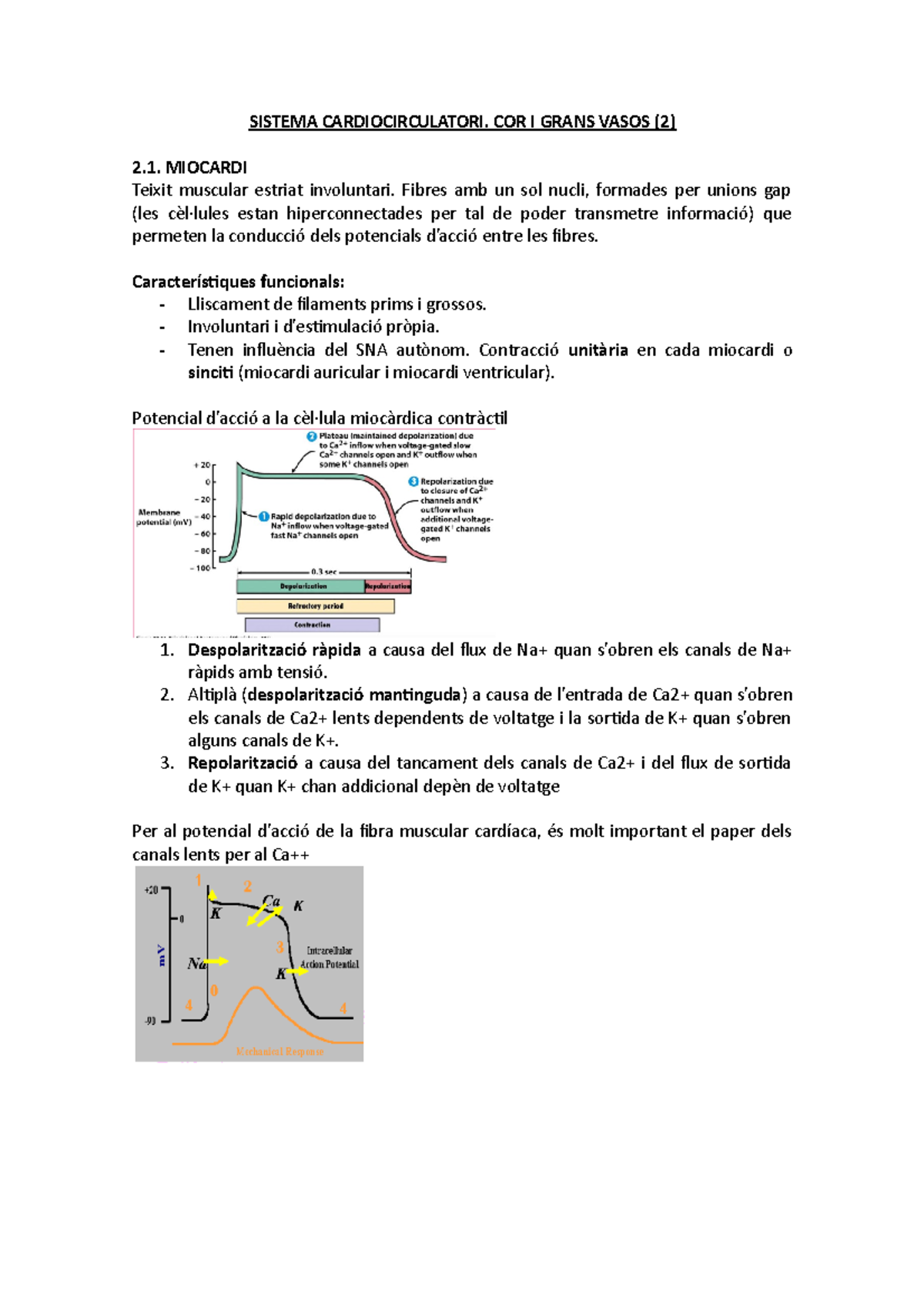 TEMA 1 - apuntes - SISTEMA CARDIOCIRCULATORI. COR I GRANS VASOS (2) 2 ...