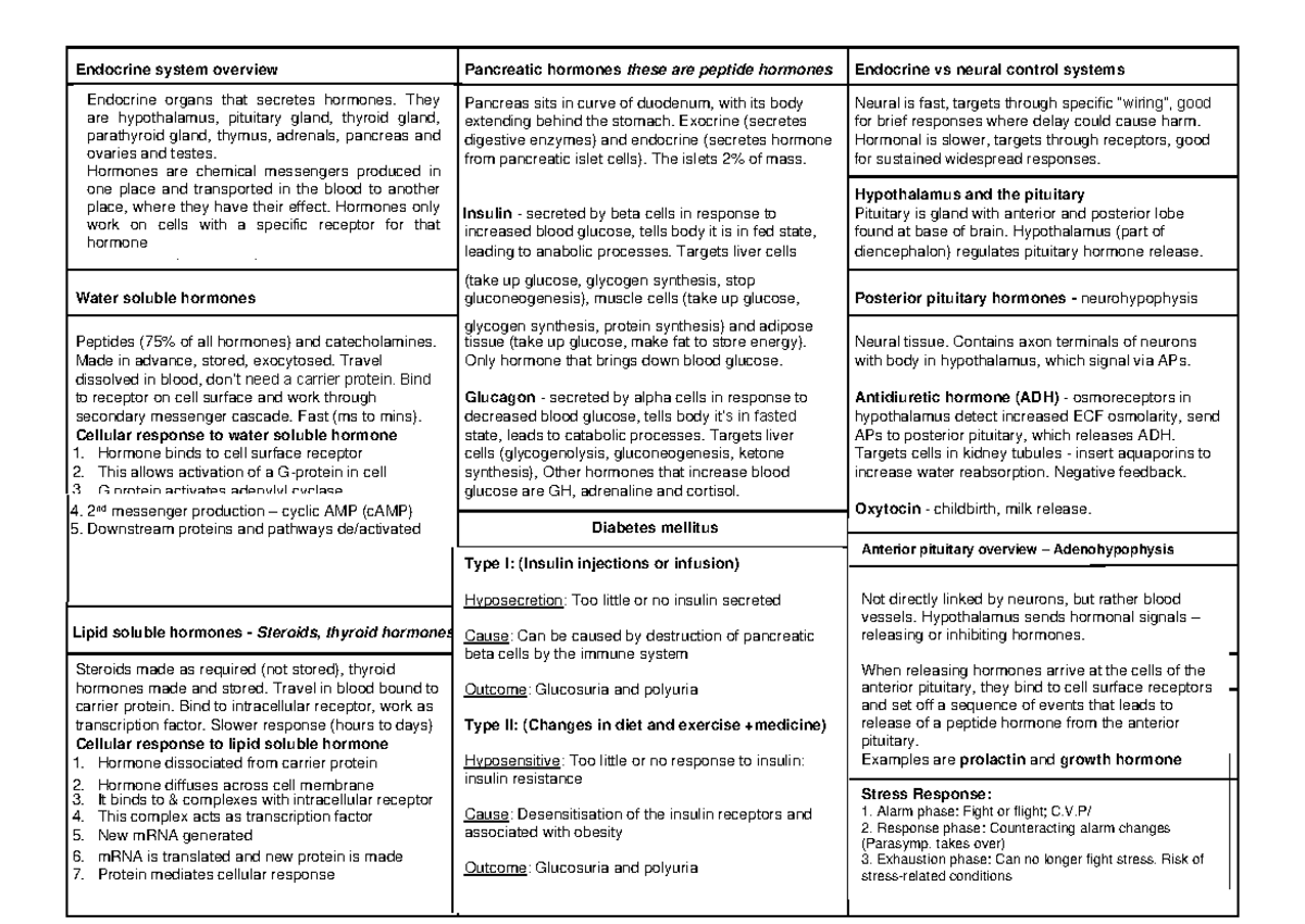 Endocrine summary - Warning: TT: undefined function: 32 Endocrine system overview Pancreatic ...