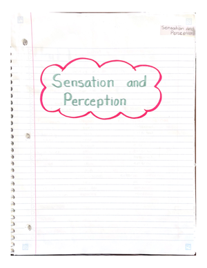Sensation and Perception Notes and Vocabulary 2 - PSYC 233 - Studocu