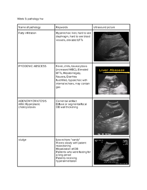 Gall bladder and biliary tree pathology-1 assignment - Google Docs ...