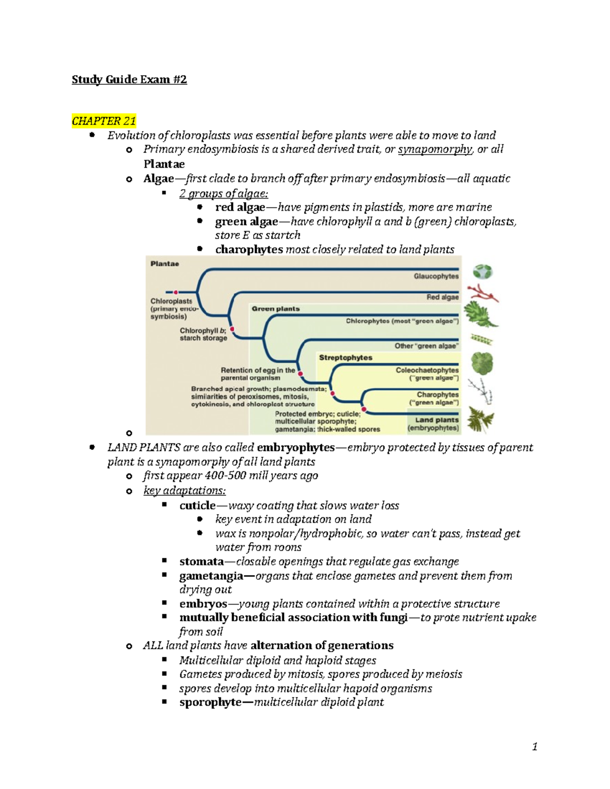 Study guide test 2 - Summary of all the material from textbook chapters ...