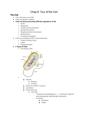 Crispr Q - Homework - CRISPR Links on D2L to Bozeman Science tutorial ...