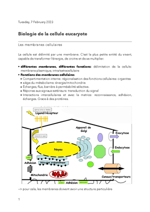Flux membranaire - Biologie de la cellule eucaryote Les FLUX MEMBRANAIRES Le principe Les - Studocu