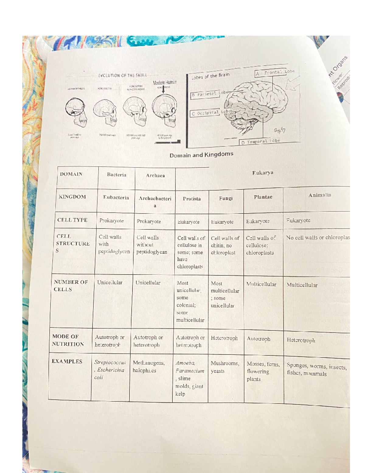 Document - Good notes very helpful for studying - Studocu