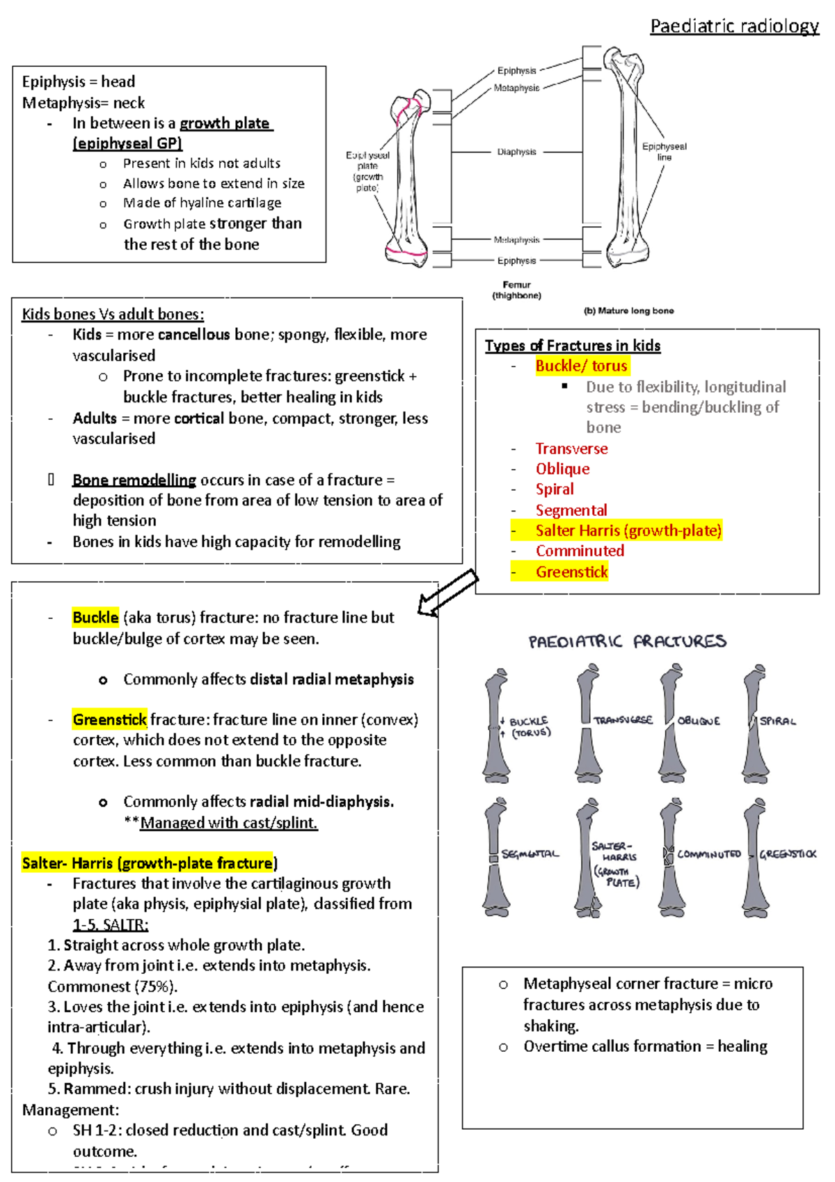 Paediatric radiology - Epiphysis = head Metaphysis= neck - In between ...