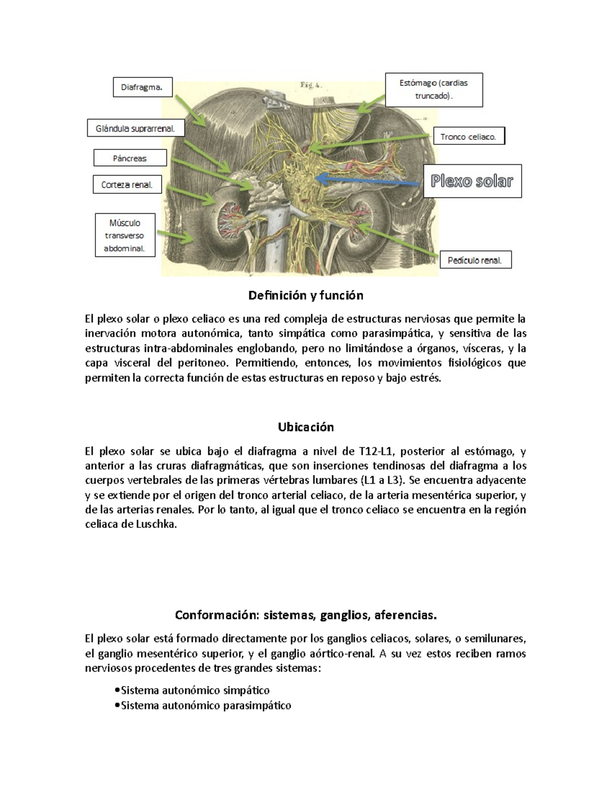 Plexo - Definición y función El plexo solar o plexo celiaco es una red ...