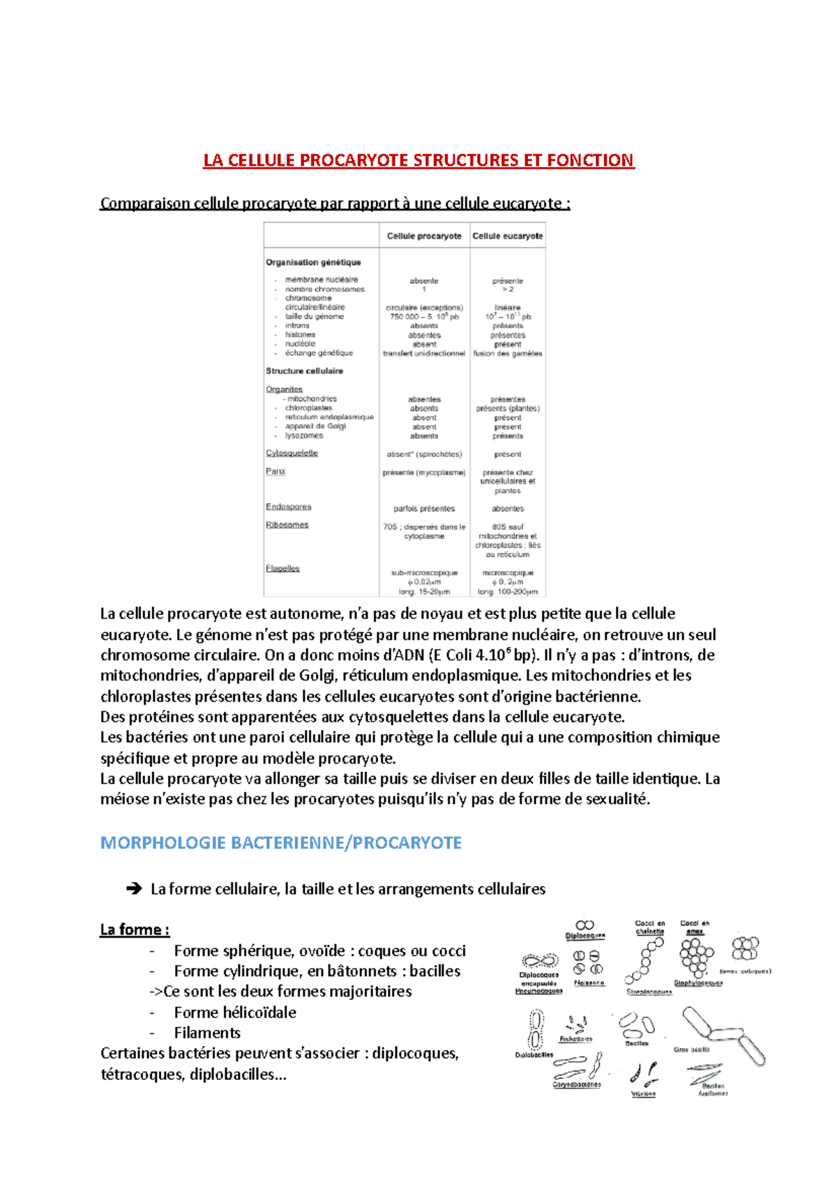 LA Cellule Procaryote Structures ET Fonction - Microbiologie - UCBL ...