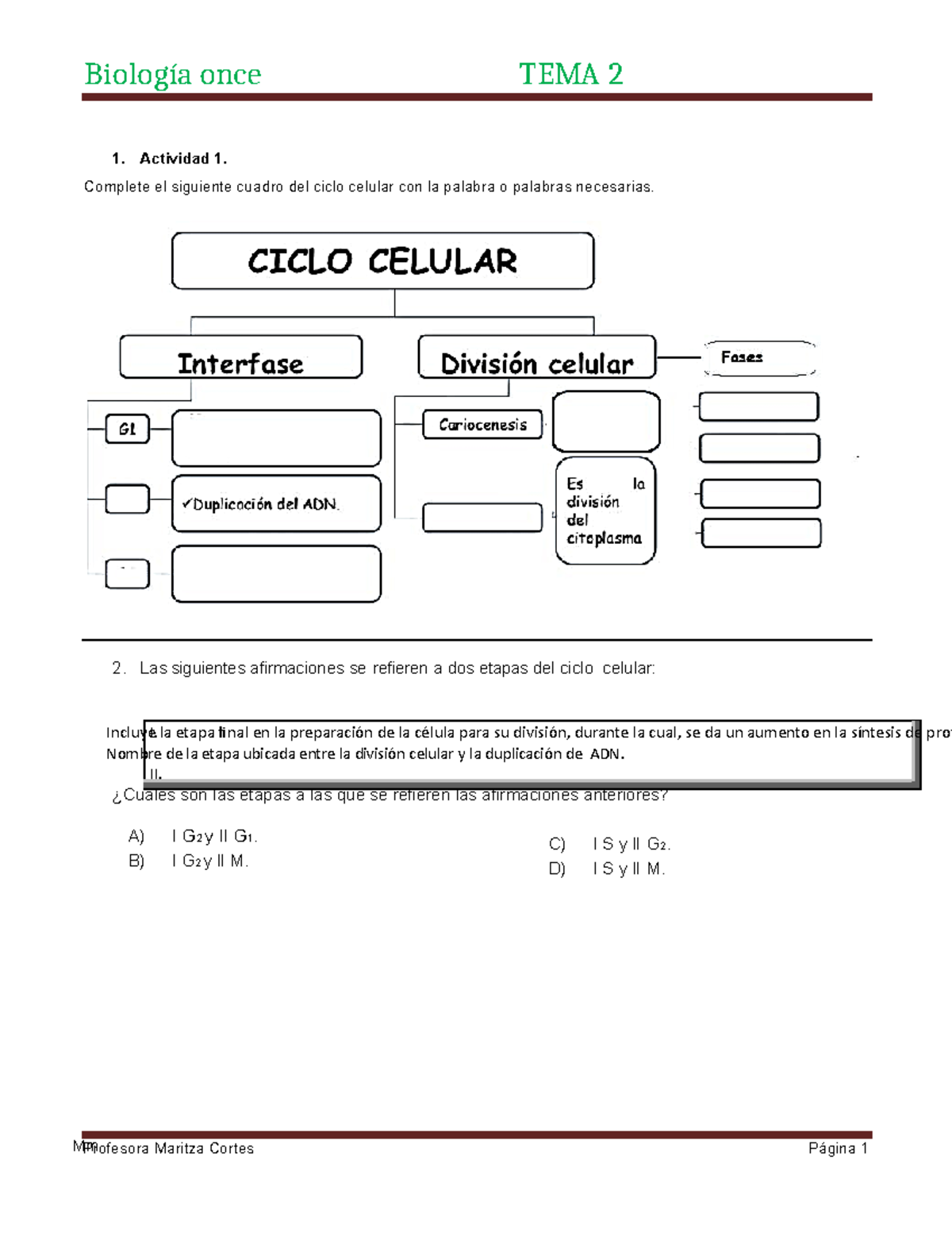 Actividad Ciclo Celular - Biología once TEMA 2 Profesora Maritza Cortes ...