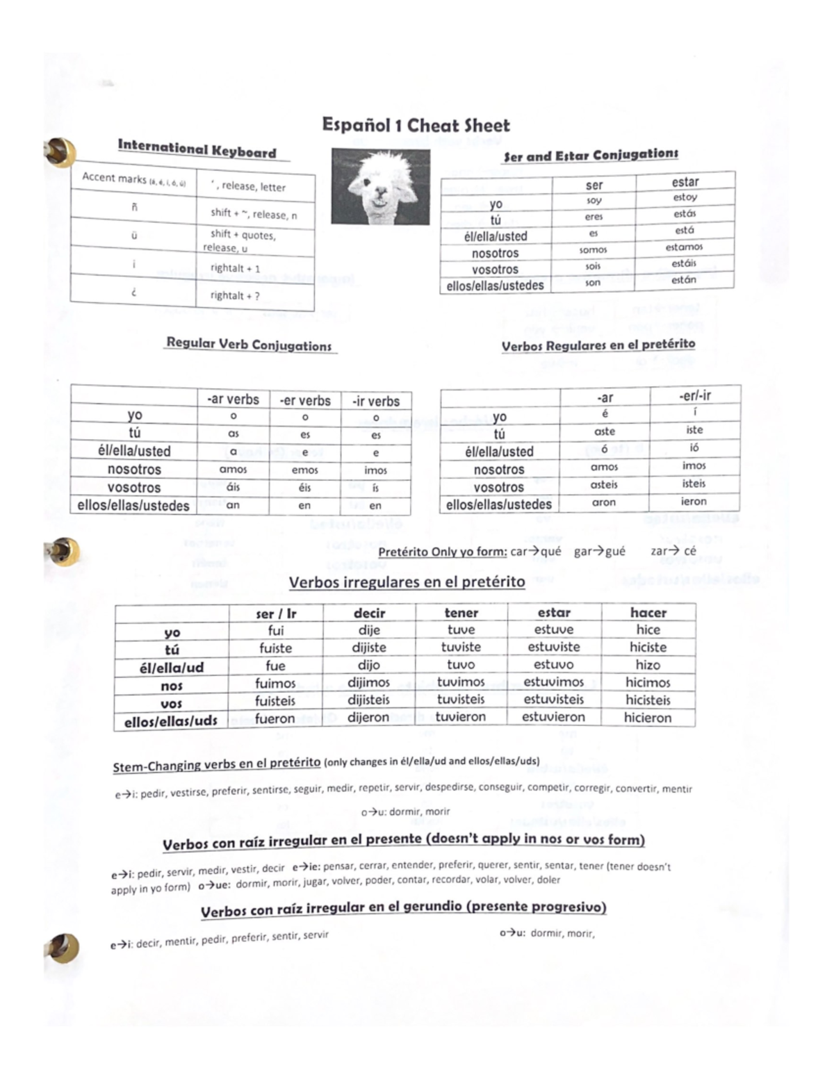 Español 1 Cheat Sheet - SPN 2220 - Studocu